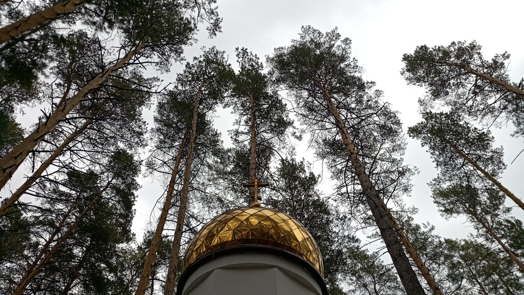 Ortodoks kiliseleri Chasovnya Luki, arkhiyepiskopa Krymskogo, pri Nii patologii krovoobrashcheniya, Novosibirsk, foto