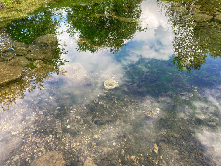 Pınar, çay Spring, stream, Saint‑Petersburg ve Leningradskaya oblastı, foto