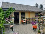 Dóra Virág (Győr-Moson-Sopron vármegye, Rév utca), çiçek teslimatı  Mosonmagyarovar'dan