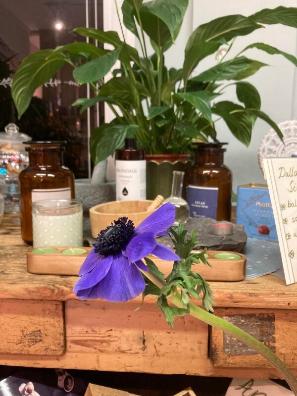 Kuaförler Mikela Cecco - Natural Hair Therapy, Rimini, foto