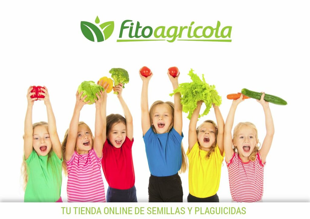 Kimyasal üretim firmaları Fito Agrícola, Tienda Online de Semillas Y Plaguicidas, Castellon de la Plana, foto