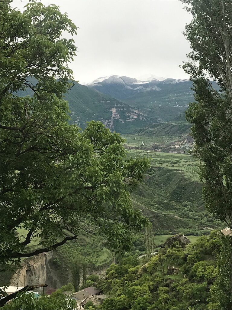 Al götür kahve Kalinin Park, Dağıstan, foto