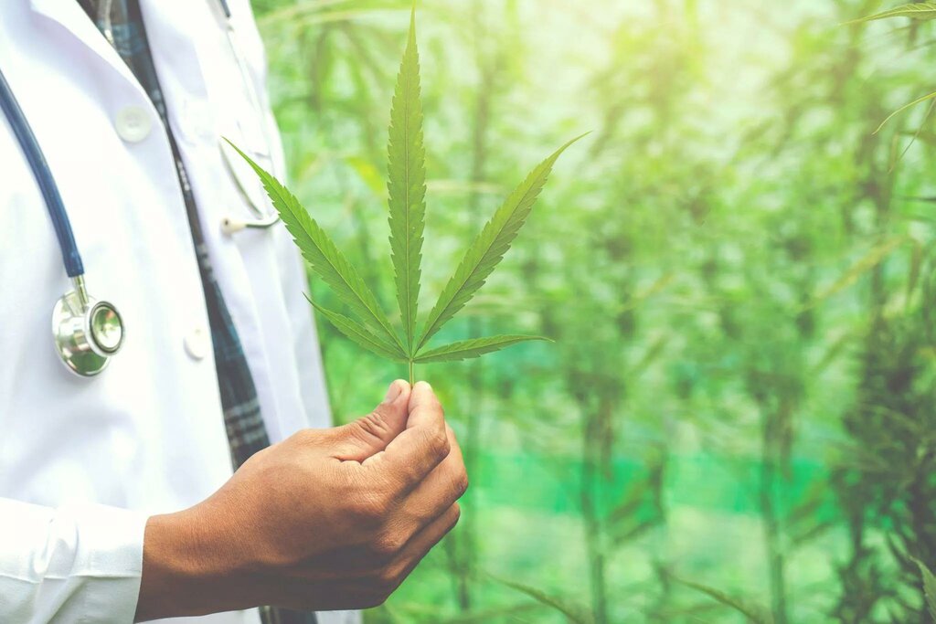 Alternatif tıp merkezleri Pom Wellness Mmj Certifications, Maryland Eyaleti, foto