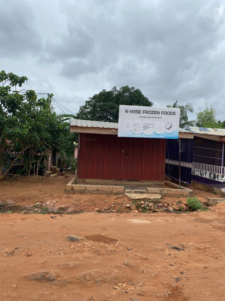 Dondurulmuş gıda firmaları K wise frozen foods, Dünya, foto