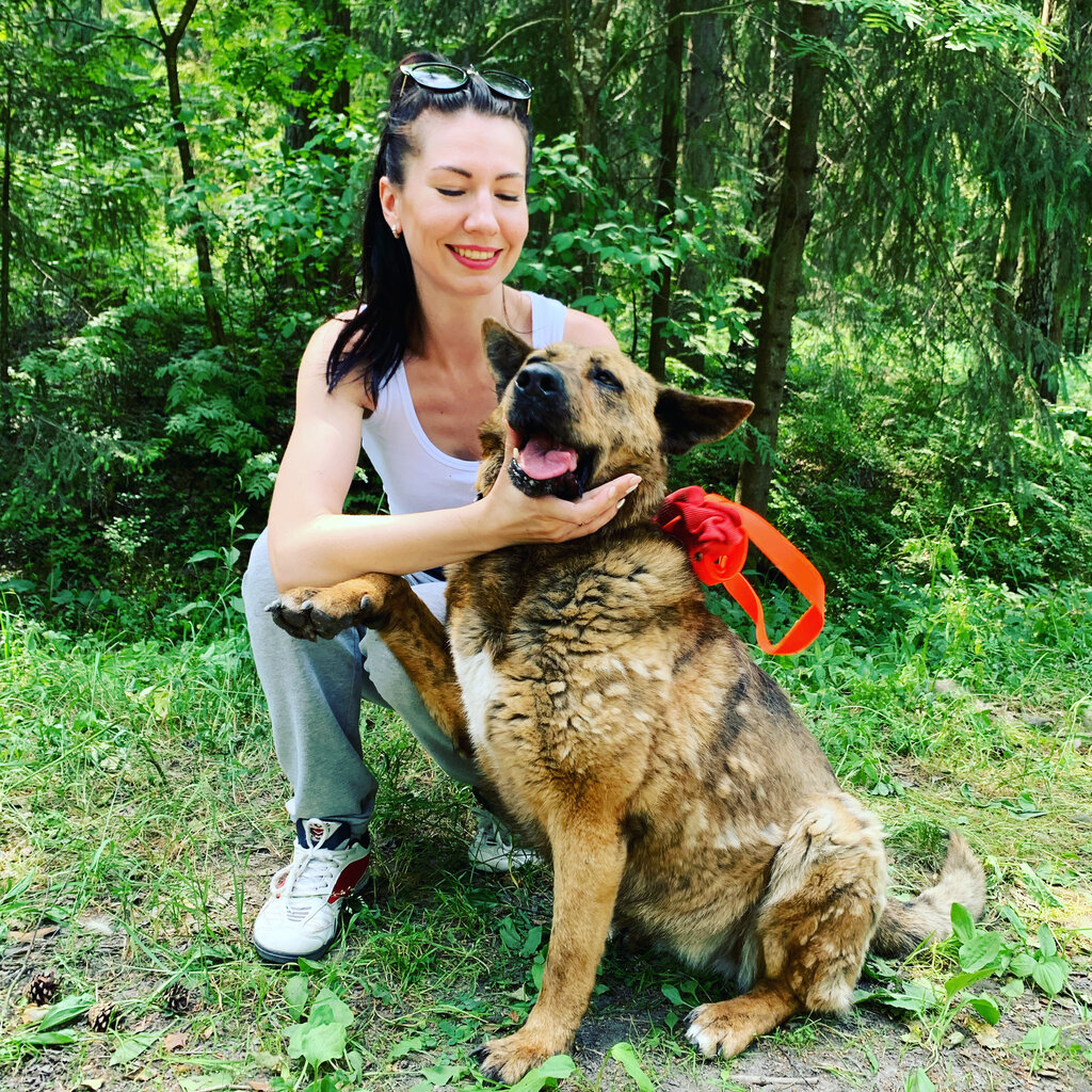 Hayvanat bahçesi merkezi Assotsiatsiya prikladnoy zoopsikhologii, Saint‑Petersburg, foto