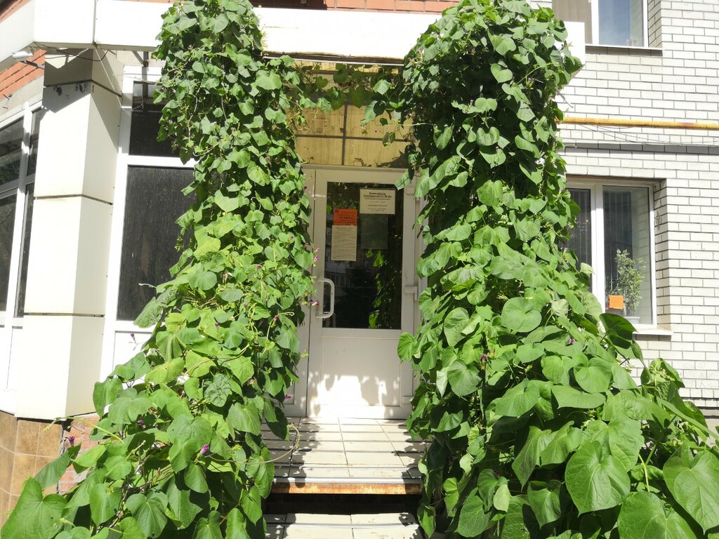 Konut servisleri kuruluşları Mayakovskogo 48-48a, Engels, foto