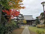 Saikouin (Chiba Prefecture, Kashiwa), pagoda