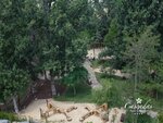 Playground (Burgas Region, Nesebar, Resort of Slanchev Bryag, Ecopark), oyun alanı  Güneş Sahili Tatil Tesisleri'nden
