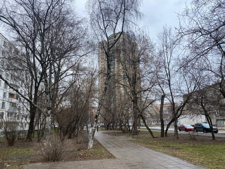 Meydan Clara Zetkin Public Garden, Moskova, foto