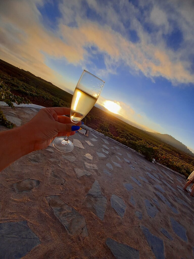 Turizm danışma büroları Genny Excursions Tenerife, Playa de las Americas, foto