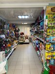 ЗооДом (Korneeva Street No:37), petshop  Domodedovo'dan
