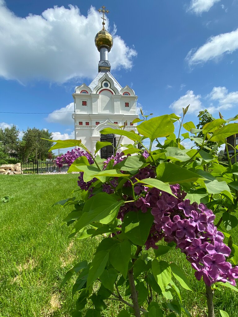 Şapel, haç anıtı Часовня Николая Чудотворца, Tverskaya oblastı, foto