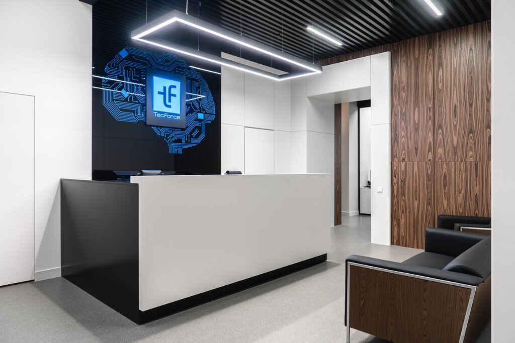 Bilişim firmaları TecForce, Saint‑Petersburg, foto