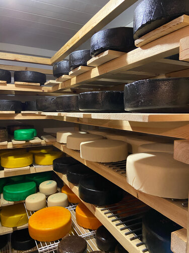 Mandıra Светлоярское Сыры Поветлужья, Nijegorodskaya oblastı, foto