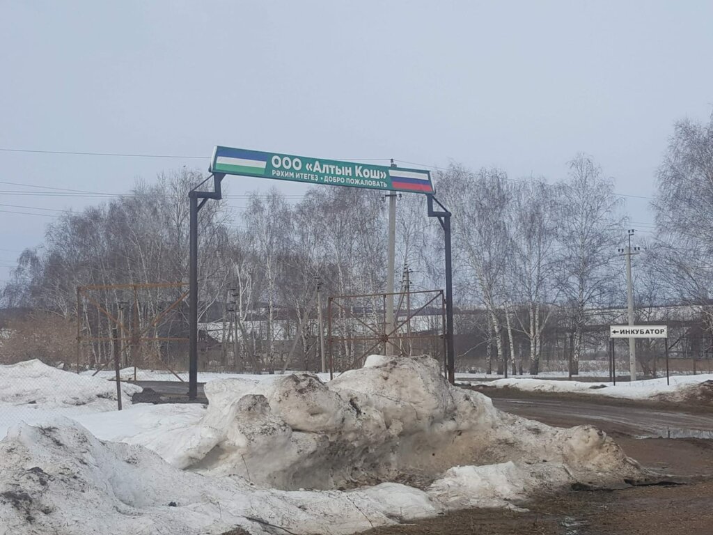 Kanatlı hayvan ürünleri ve yumurta Алтын Кош, Başkurdistan, foto