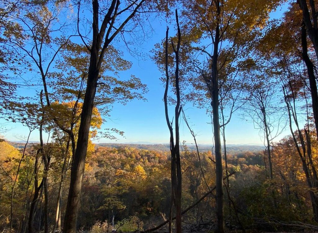 i̇nşaat firmaları Osborne and Sons LLC, Virginia, foto