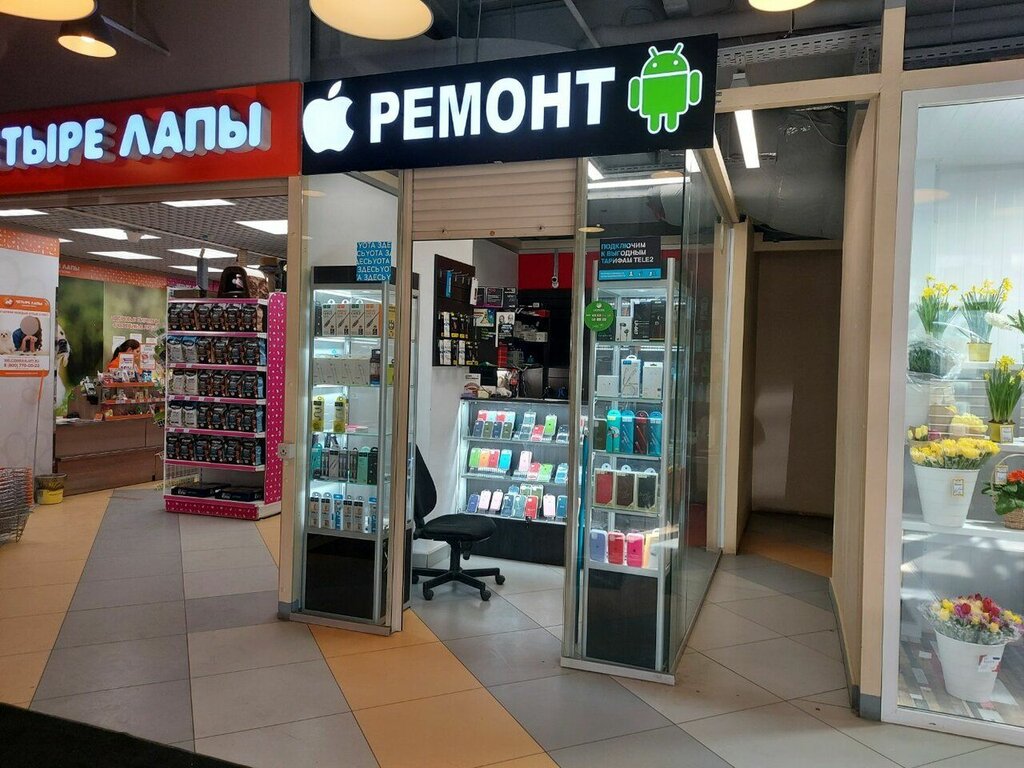 Telefon tamir servisi REmont, Pastavy, foto