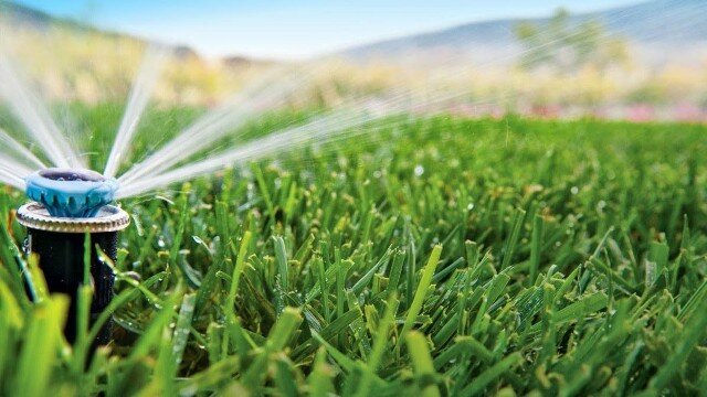 Bahçe ekipmanları ve teknolojileri Macia Jardineros, Albacete, foto