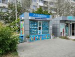 Славица (Volgograd, Kazakhskaya Street), dondurmacılar  Volgograd'dan