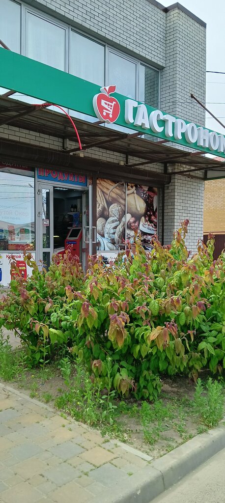 Market Гастроном, Mikhaylovsk, foto