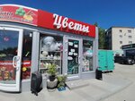 Кастания (ulitsa Pisemskogo No:86А), çiçekçiler  Volgograd'dan