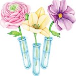 Buket Lab (Stroiteley Street No:11, Kovrov), çiçekçiler  Kovrov'dan