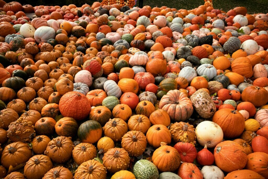 Kültür ve eğlence parkları Pearson's Pumpkin Place, Nebraska Eyaleti, foto