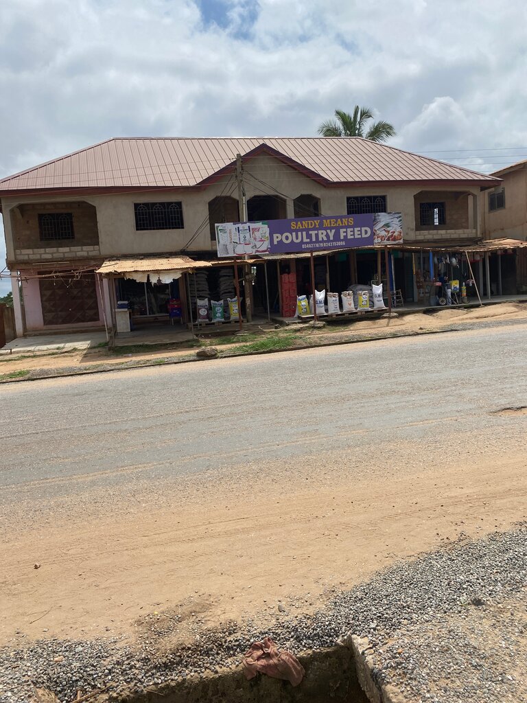 Petshop Sandy Means Poultry Feeds, Dünya, foto