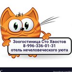 Stohvostov (Galiaskara Kamala Boulevard No:2), pet otel  Naberejniye Çelny'den (Yar Çallı'dan)