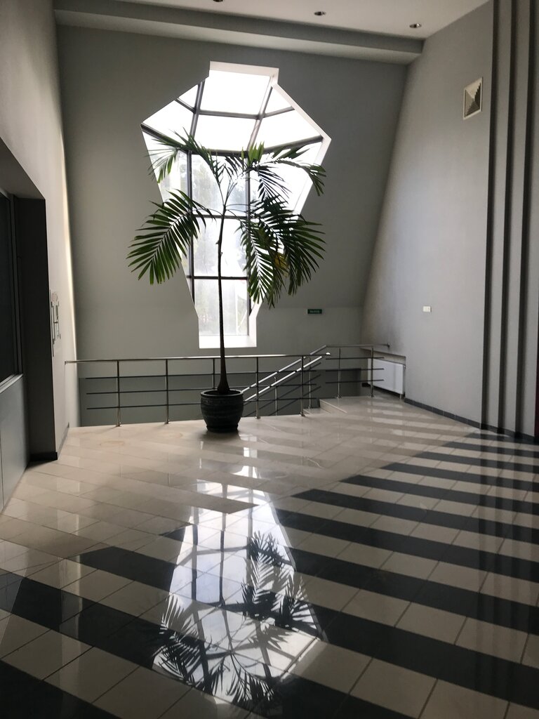 Depo hizmetleri Wc Petrovo-Dalnee, Moskova ve Moskovskaya oblastı, foto