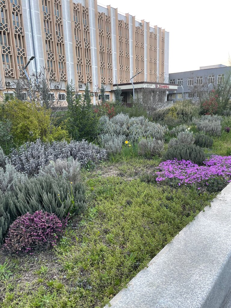 Otomobil fabrikaları Zenith Electronics, Taşkent, foto