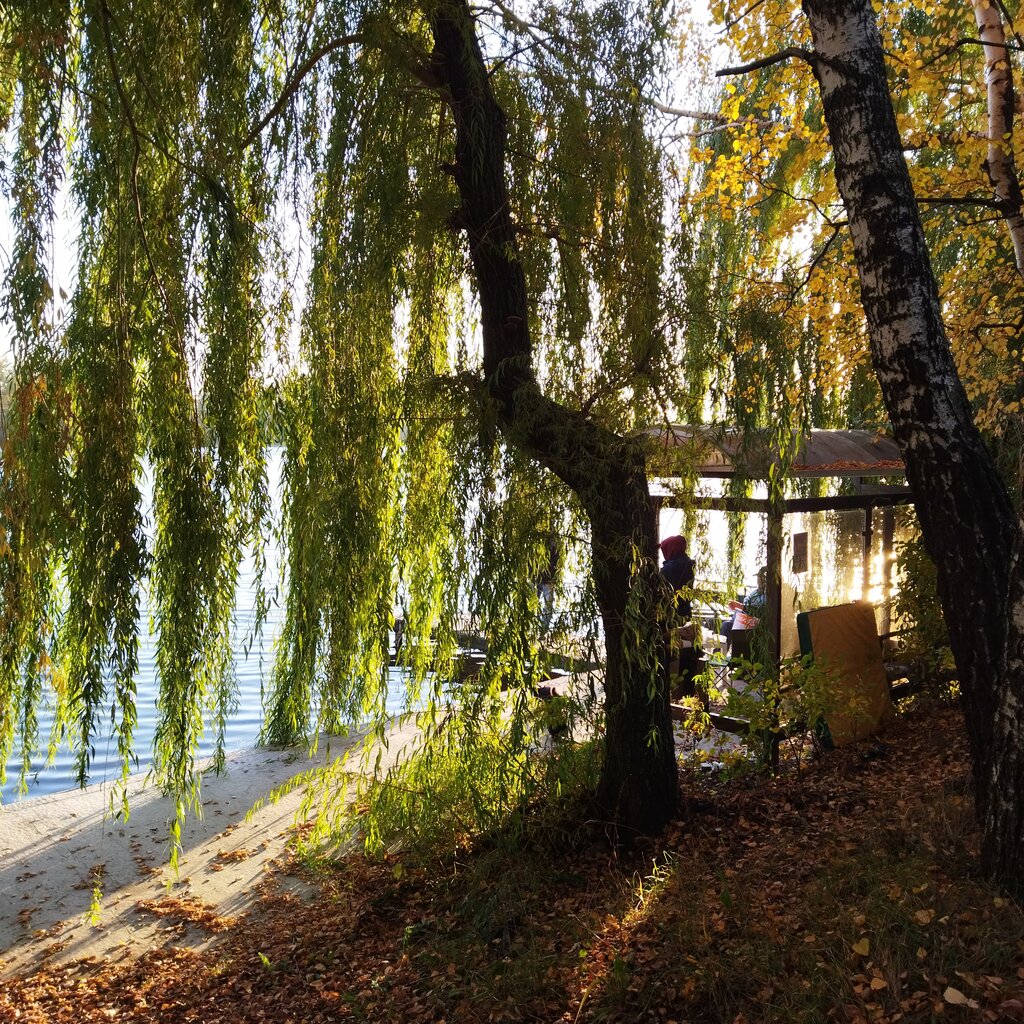 Depo hizmetleri ВМК Океан, Jukovski, foto