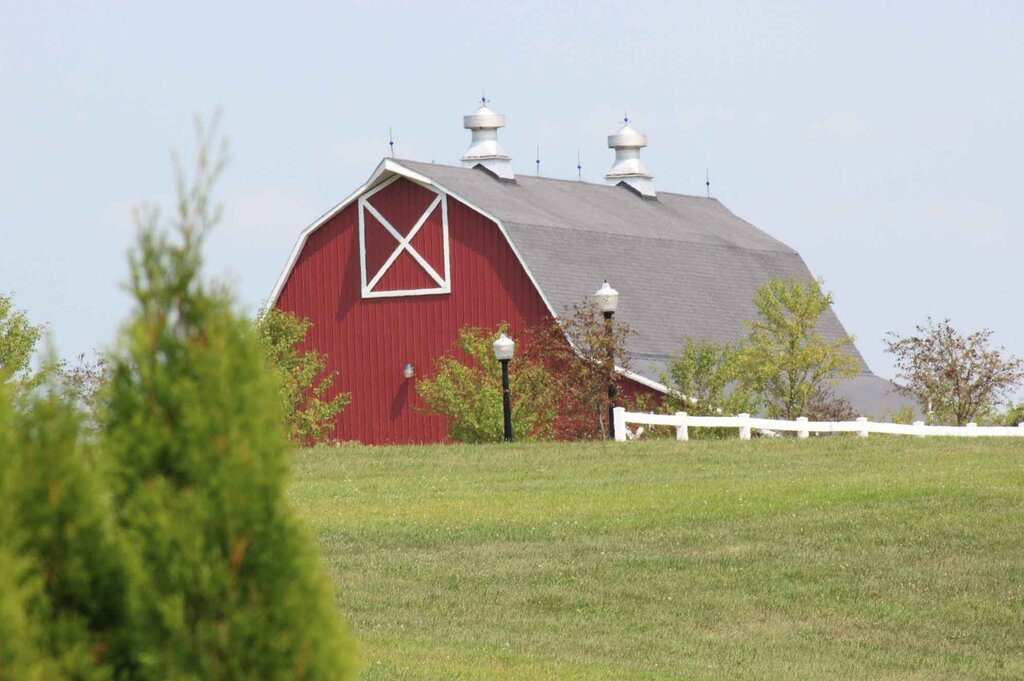 Eğlence merkezleri Parker Run Vineyards, İllinois, foto