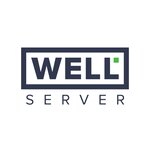 WellServer (Golovinskoye Highway No:5к1), bilişim firmaları  Moskova'dan