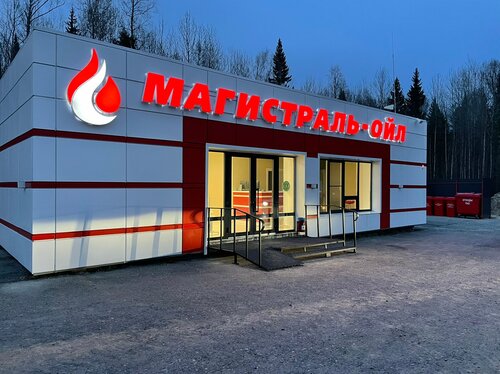Benzin istasyonu Gas Station, Tümen (Tiumenskaya) oblastı, foto