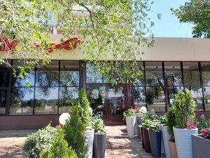 Krem cafe (Uritskogo Street No:3, Kirovskiy District), kafe  Astrahan'dan