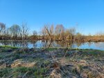 Spring, stream (Moscow Region, Podolsk City District, Uslon Village, Fabrichnaya Street), pınar, çay  Moskova ve Moskovskaya oblastından