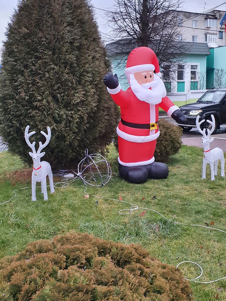 Orman işleri Pukhovichsky leskhoz GLKhU, Marjina Gorka, foto