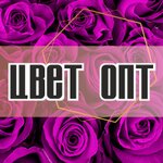 Cvet Opt (Pobedy Avenue No:102А), çiçekçiler  Cherepovets'ten