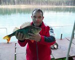 Royal Ponds (Vladimir Region, Petushinskiy rayon), avcılar ve balıkçılar  Vladimirskaya oblastından