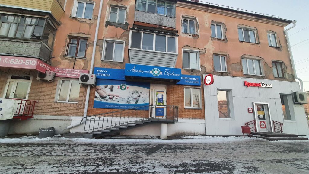 Kanatlı hayvan ürünleri ve yumurta Agrofirma Borovskaya, Kurgan, foto
