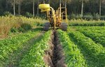 Entreprise de Drainage Pattyn Mouraux (Namur, Gembloux, Rue des Praules, 20), peyzaj tasarımı  Namur İli'nden