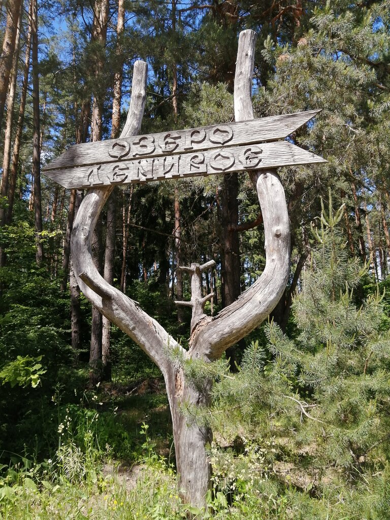 Giriş işareti Озеро Ленивое, Kalujskaya oblastı, foto