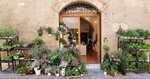 L'Angolo del Fiore di Taviani Sabrina (Tuscany, Provincia di Siena, Via Porsenna, 68), çiçek teslimatı  Toskana'dan