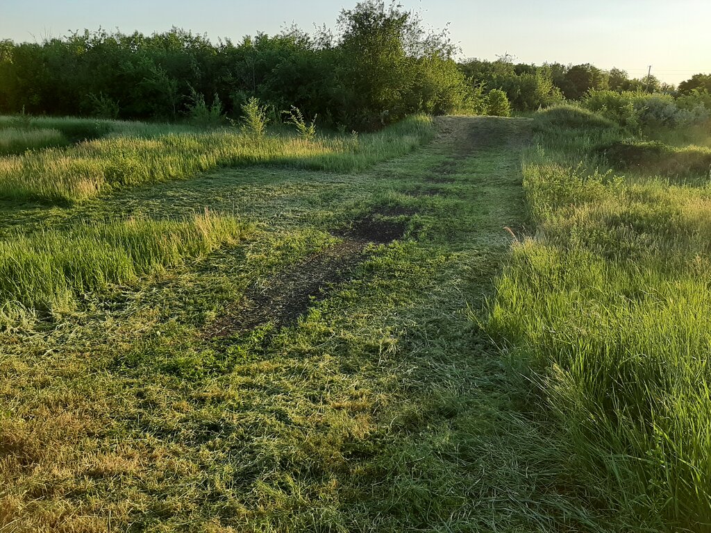 Otomobil pisti Автодром, Rostovskaya oblastı, foto