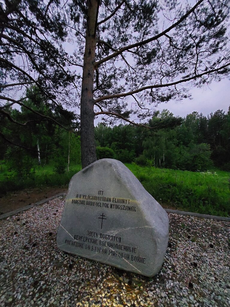 Anıt, heykel Венгерским военнопленным, Sverdlovskaya oblastı, foto