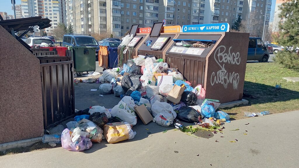 Çöp alanları Trash and garbage disposal area, Kaliningrad, foto