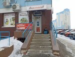 Анастасия (Transportnaya ulitsa No:18/2), market  Orenburg'dan