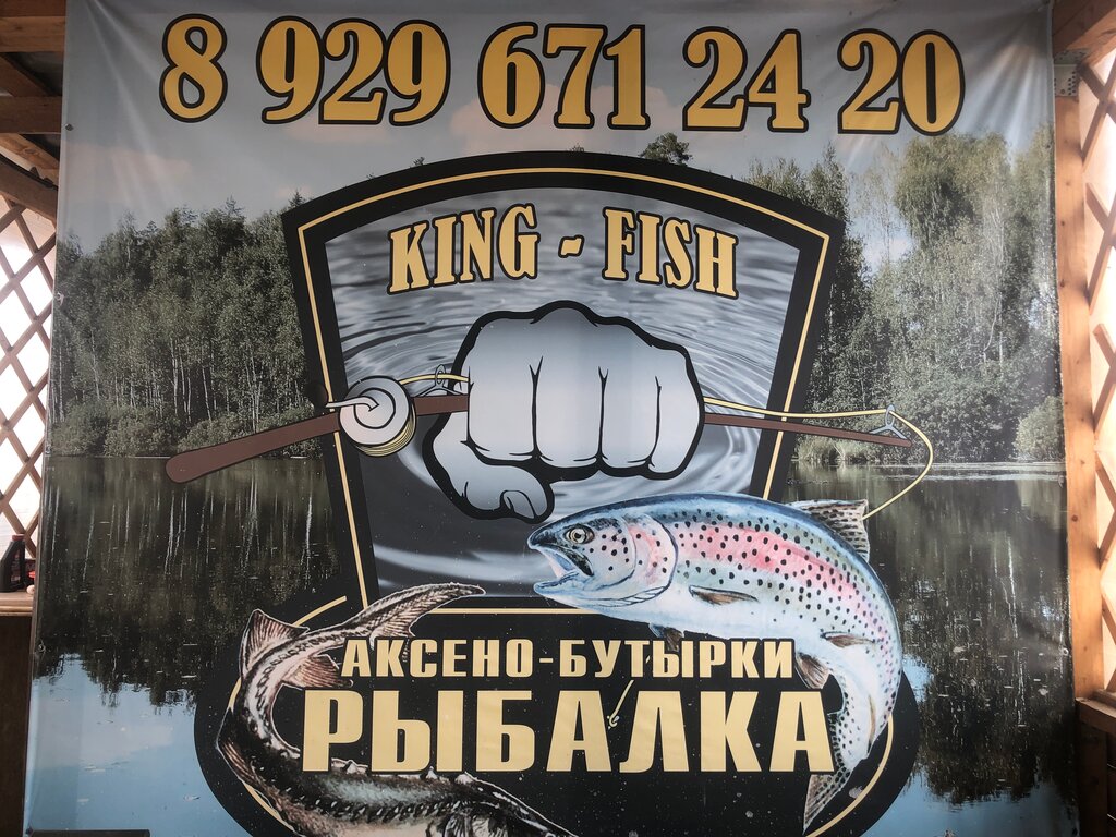 Balık çiftçiliği ve toptancıları Fishing, Moskova ve Moskovskaya oblastı, foto