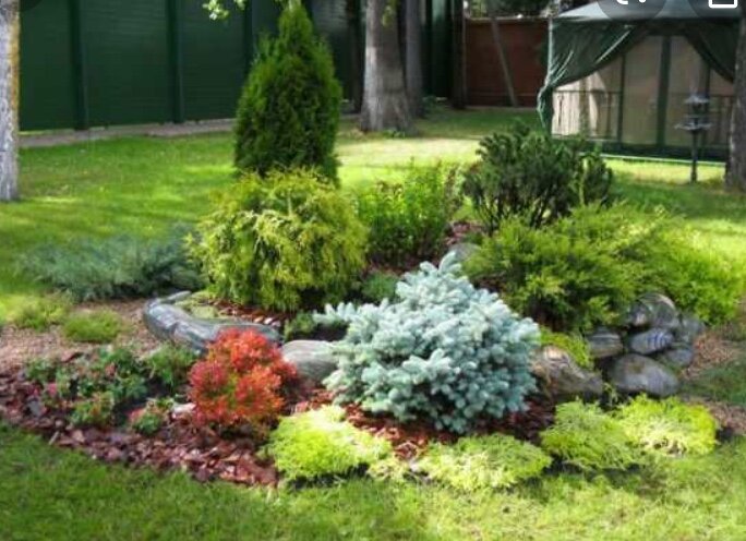 Bahçecilik mağazaları Сад и огорд, Saint‑Petersburg ve Leningradskaya oblastı, foto